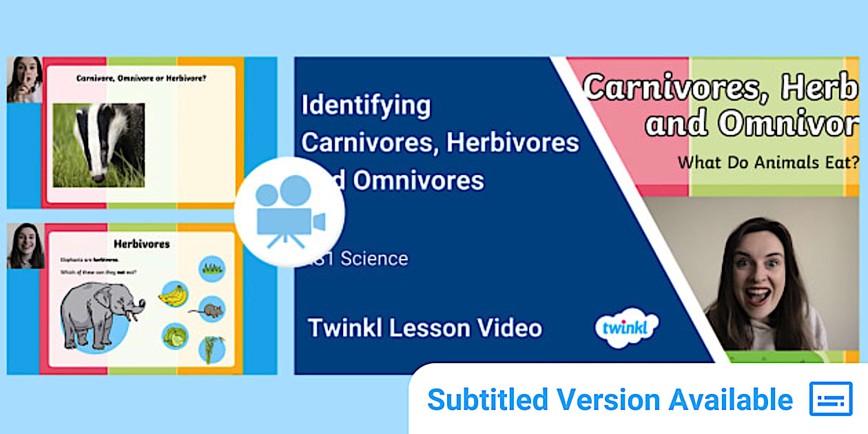 KS1 Identifying Carnivores, Herbivores and Omnivores Video
