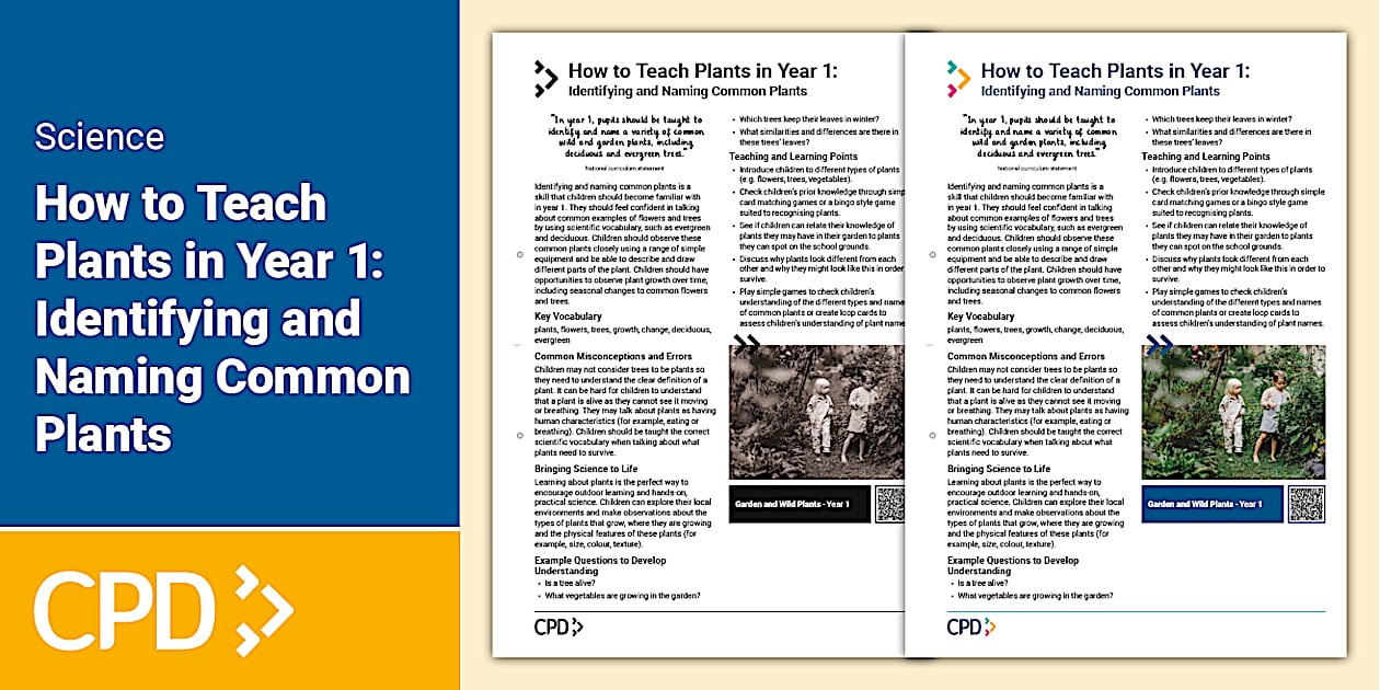 Y1 Science: Identifying and Naming Common Plants - Twinkl