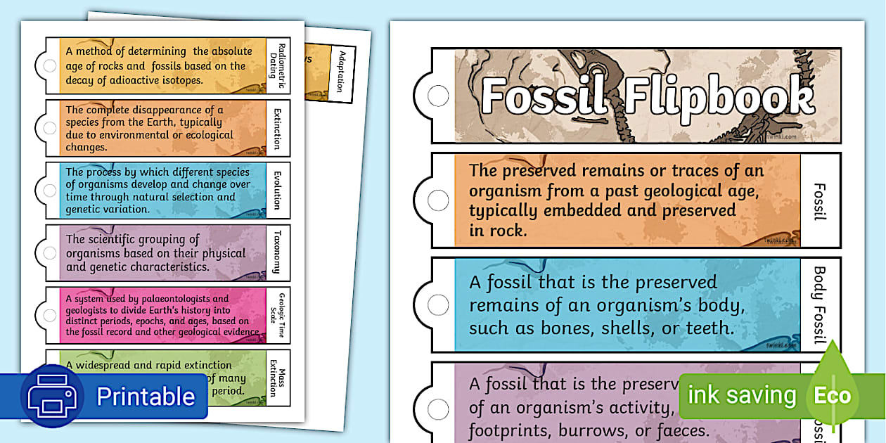 Fossil Flip Book (teacher made) - Twinkl