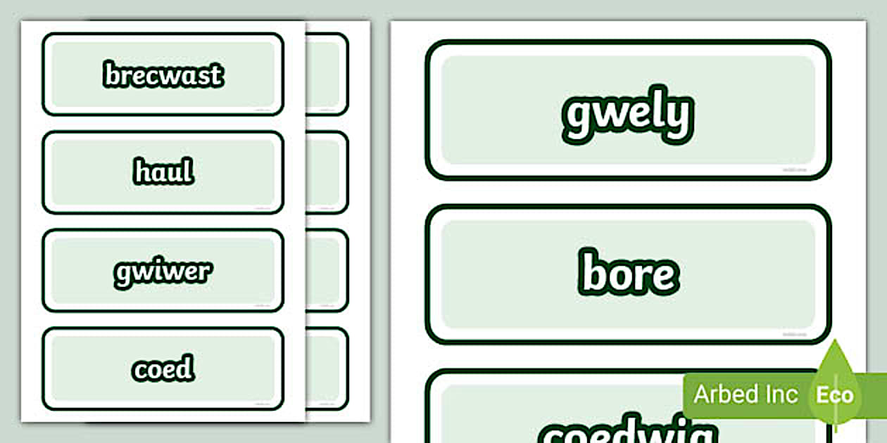 Cardiau Fflach Enwau – Y Diwrnod Gorau Erioed - Twinkl