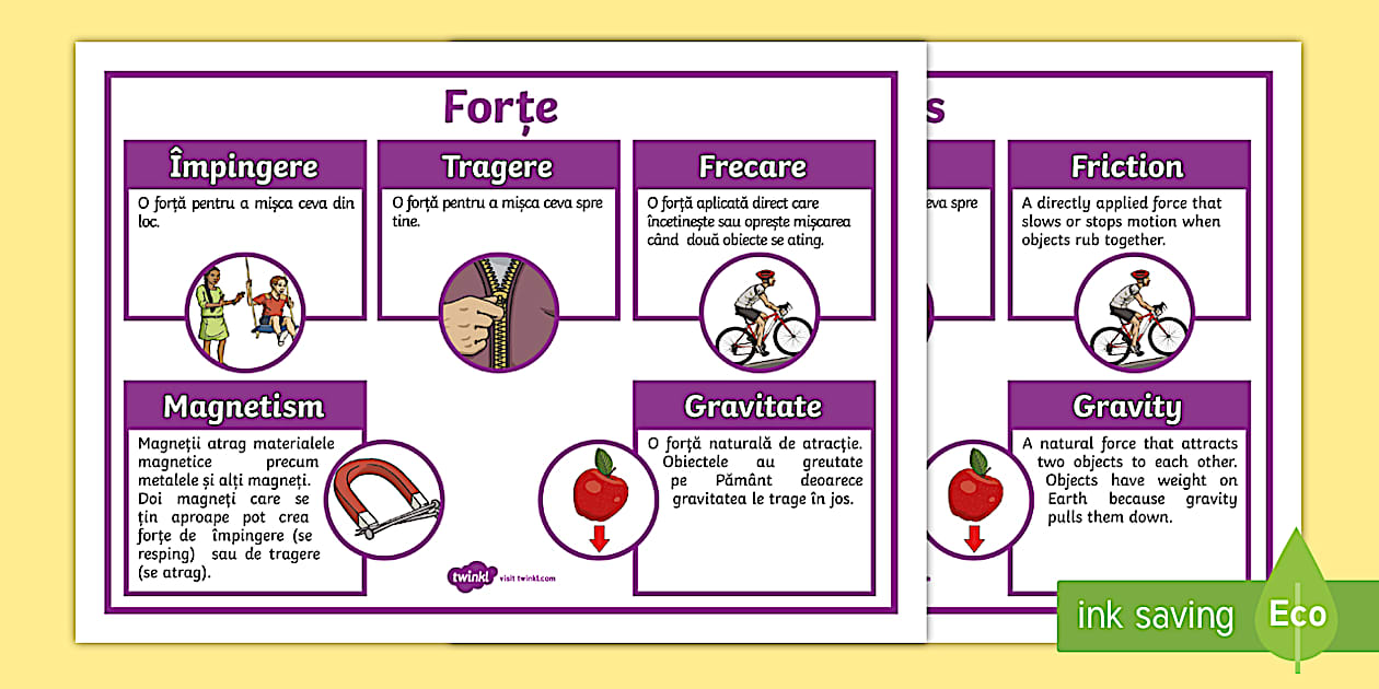 Forces Display Poster English/Romanian (teacher made)