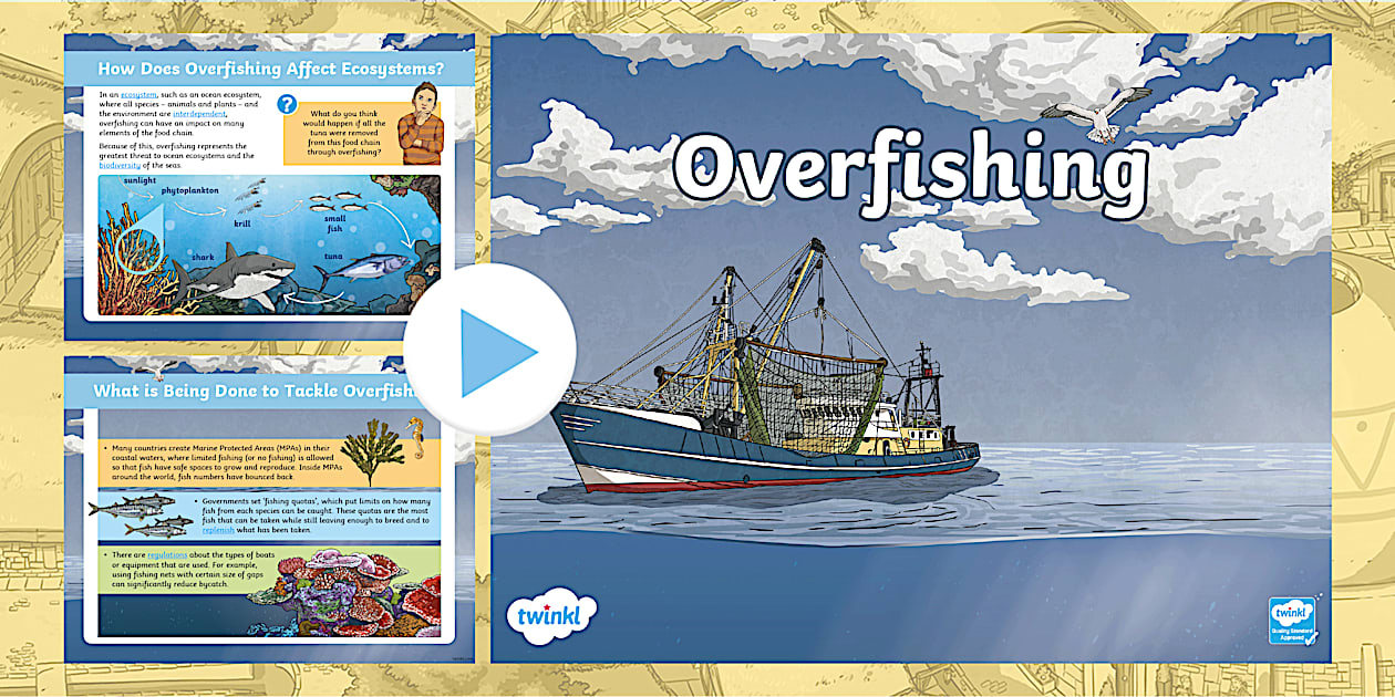Overfishing Facts KS2 | PowerPoint | Twinkl Originals