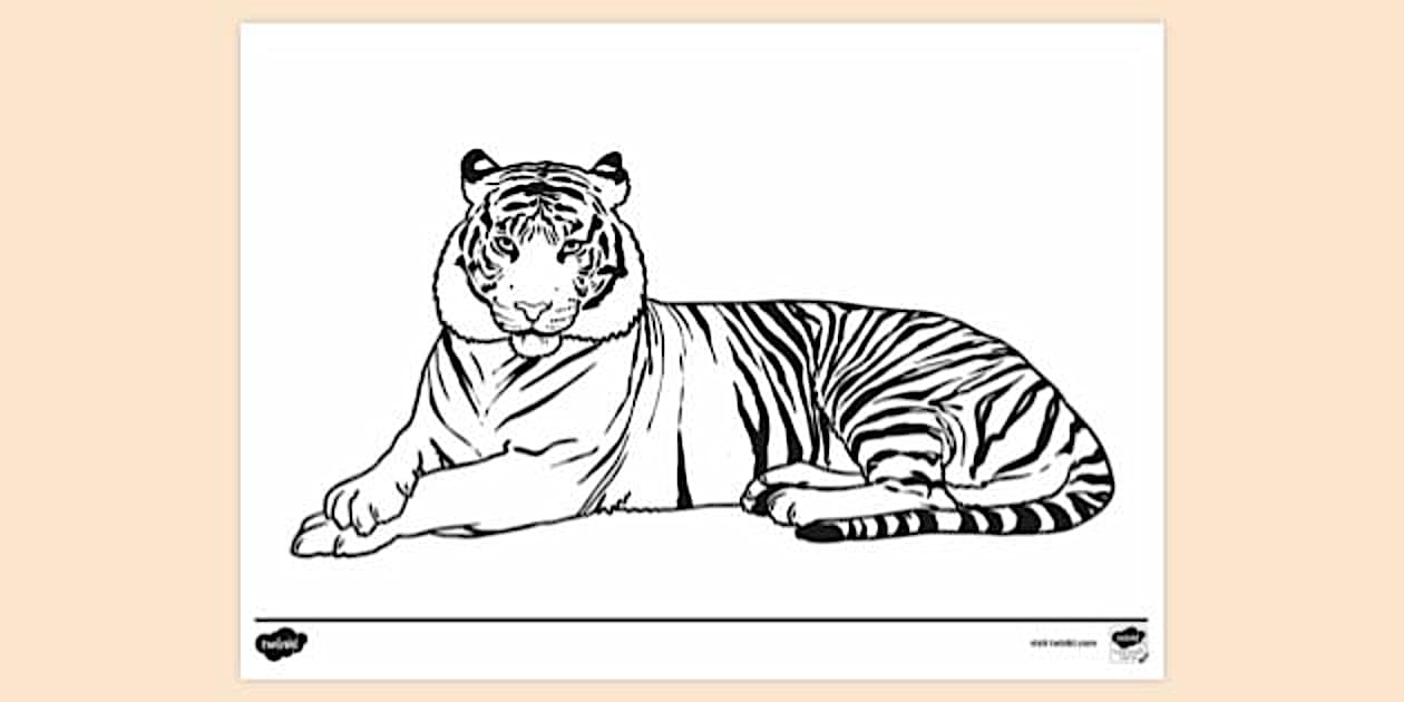 Javan Tiger Colouring Sheet | Colouring Sheet (teacher made)