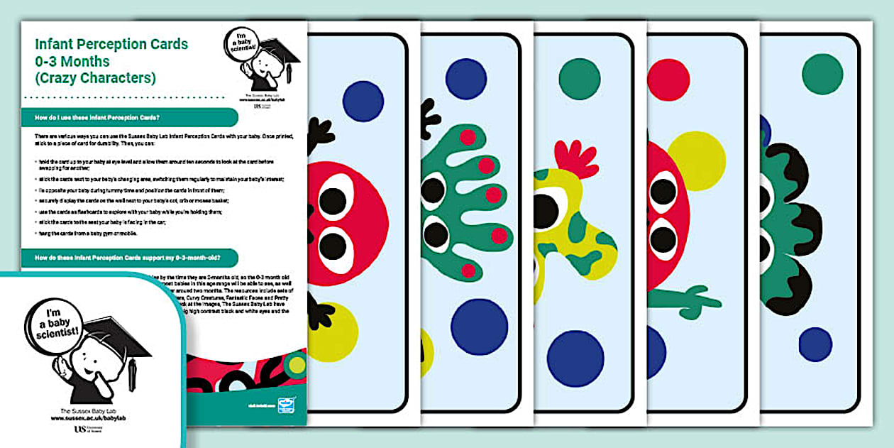 FREE! - Crazy Characters Infant Perception Cards - 0-3 Months