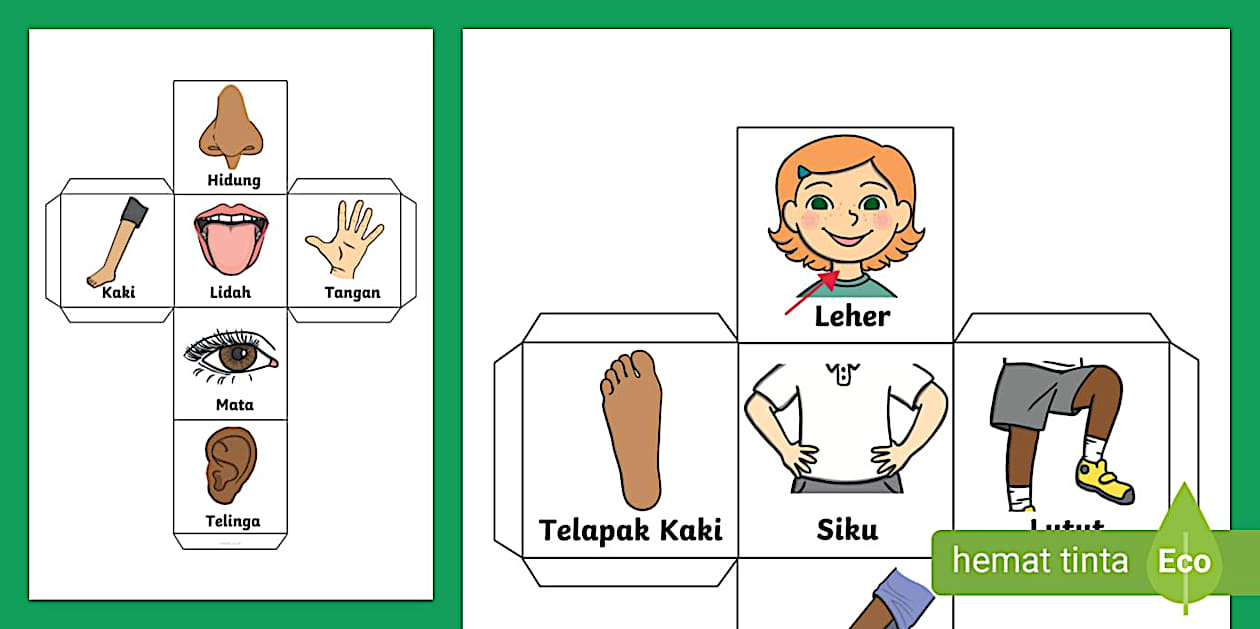 Permainan Kreatif Dadu tentang Anggota Tubuh (teacher made)