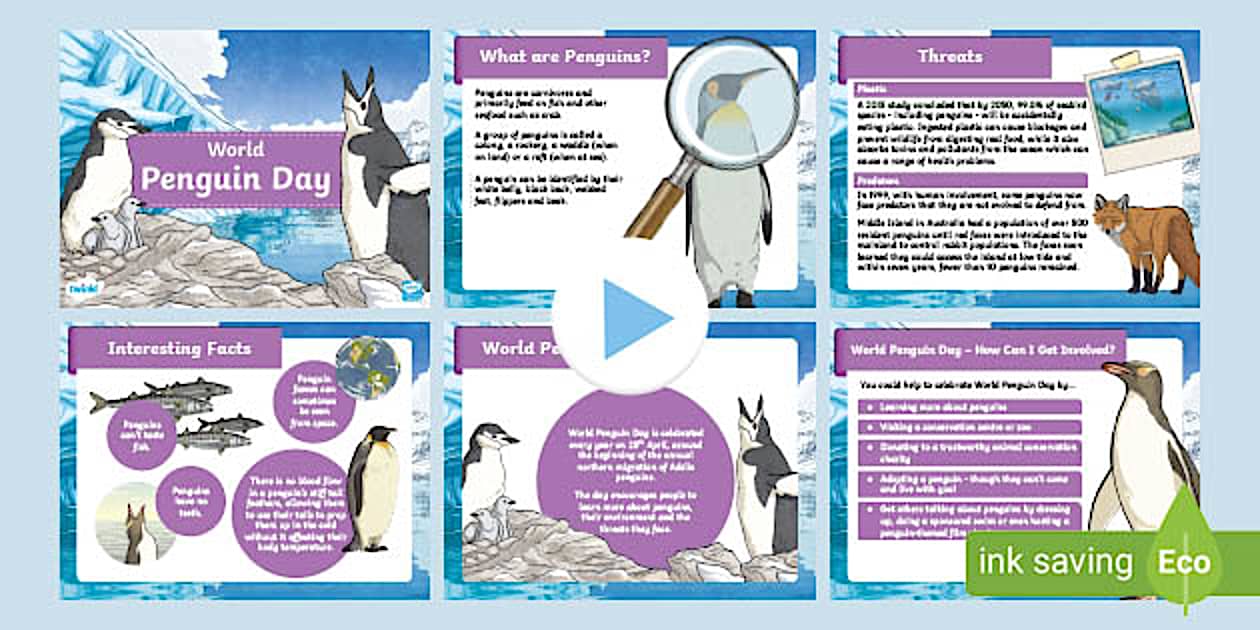 World Penguin Day PowerPoint - Twinkl - Awareness Days