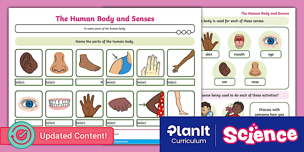 Interactive PDF Home Learning: Year 1 Science Activity