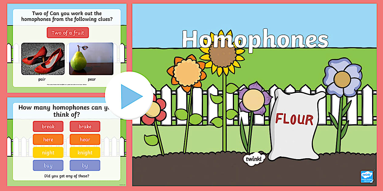 Homophones PowerPoint (Teacher-Made) - Twinkl