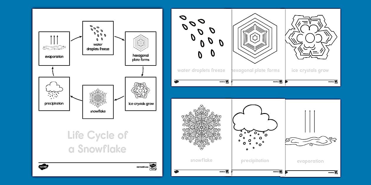 Life Cycle of a Snowflake Trace and Color Worksheet - Twinkl