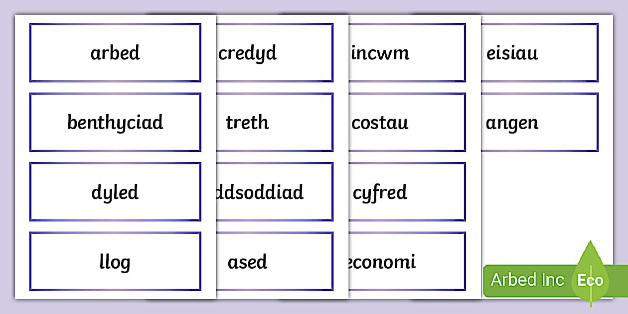 Cardiau Geirfa Llythrennedd Ariannol (teacher made) - Twinkl