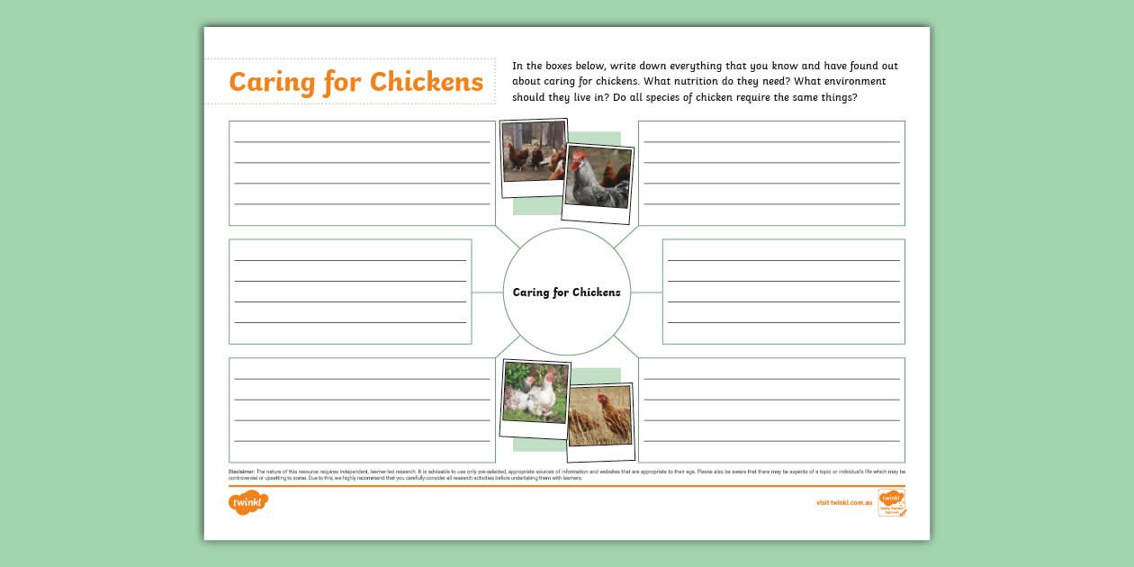 Caring for Chickens Mind Map Template (teacher made)