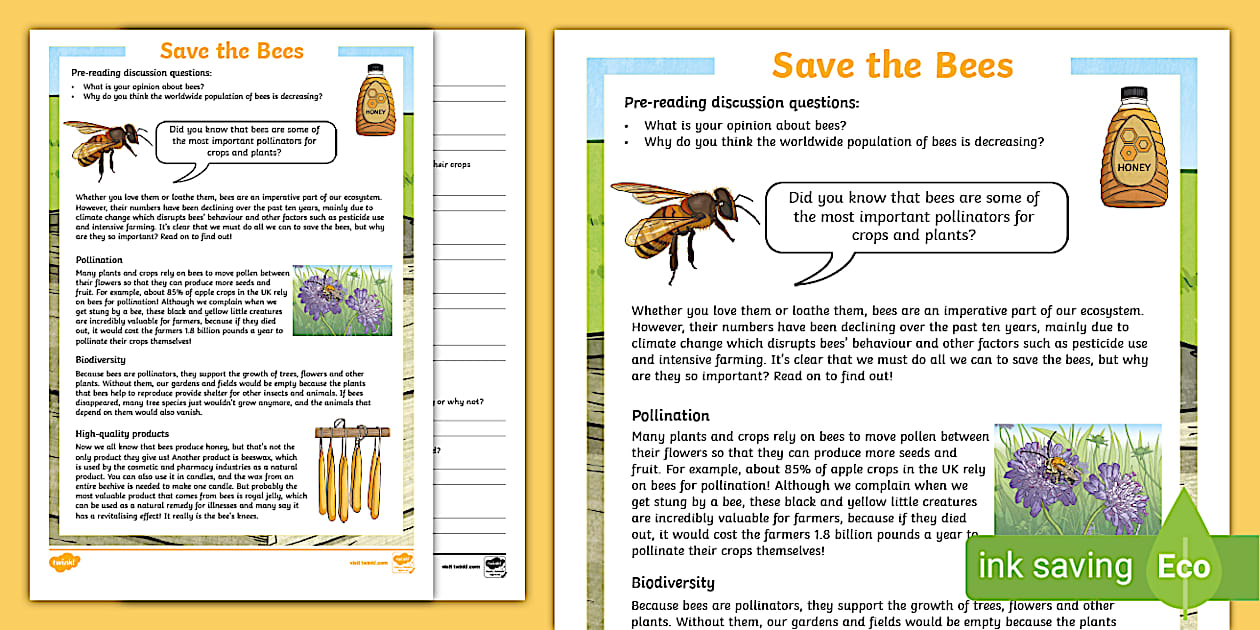 ESL Save the Bees Reading Comprehension [Teens, B1-B2]