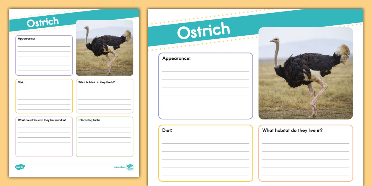 Fun Ostrich Worksheet for K-2nd Grade | Twinkl USA - Twinkl