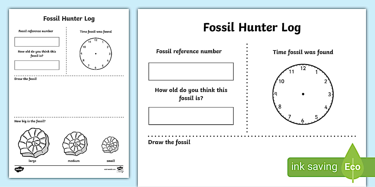 Fossil Hunter Role Play Log (teacher made) - Twinkl