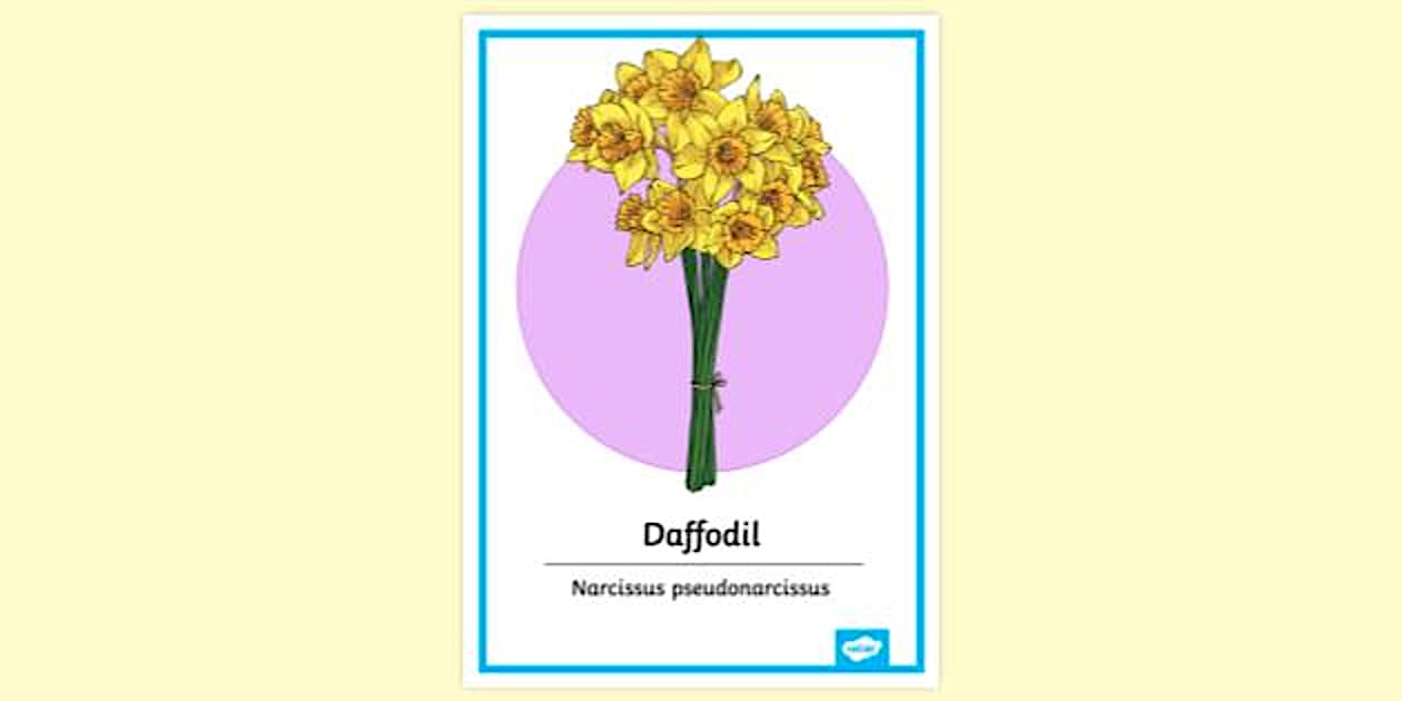 Realistic Display Poster of Flowers | Primary Resources