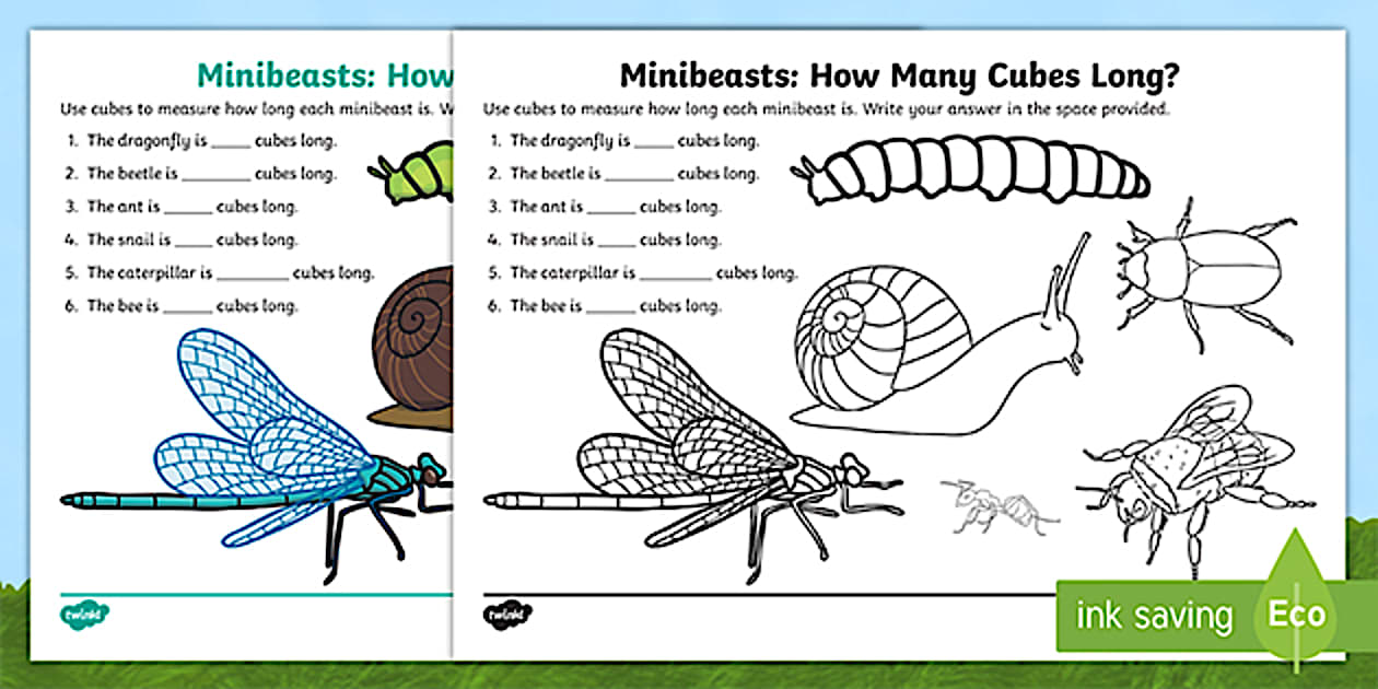 Length in Cubes Minibeasts Measurement Worksheet - Twinkl