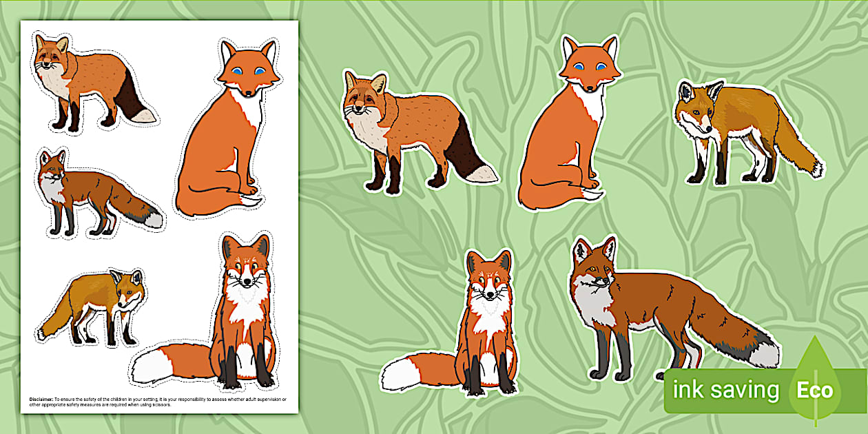 Fox Clip Art Cut-Outs (Lehrer gemacht) - Twinkl