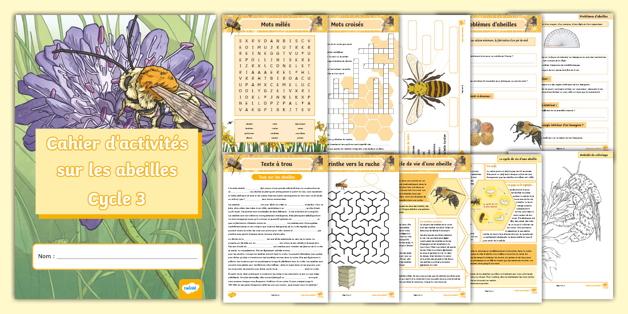 Cahier d'activités sur les abeilles pour cycle 3 - Twinkl
