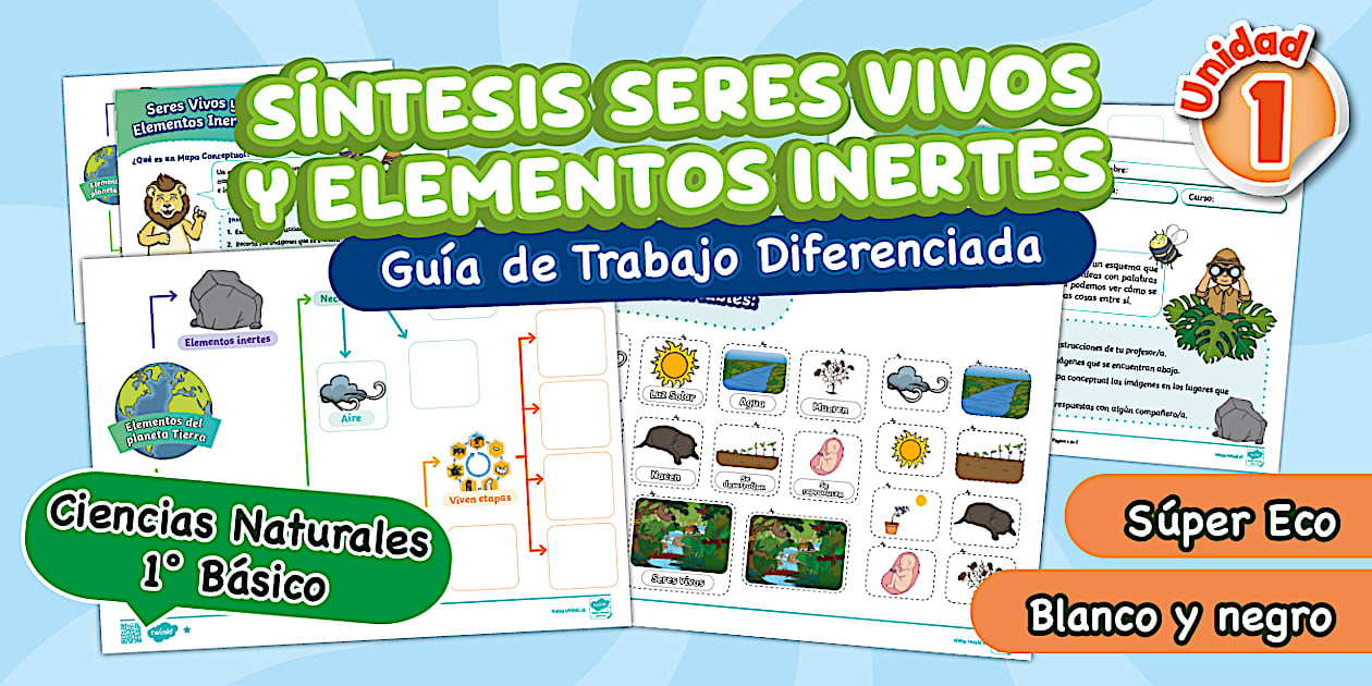 Guía de Trabajo | Síntesis | Seres Vivos y Elementos Inertes