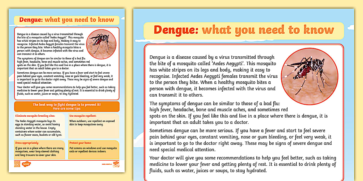 Fact sheet: Dengue fever - Twinkl