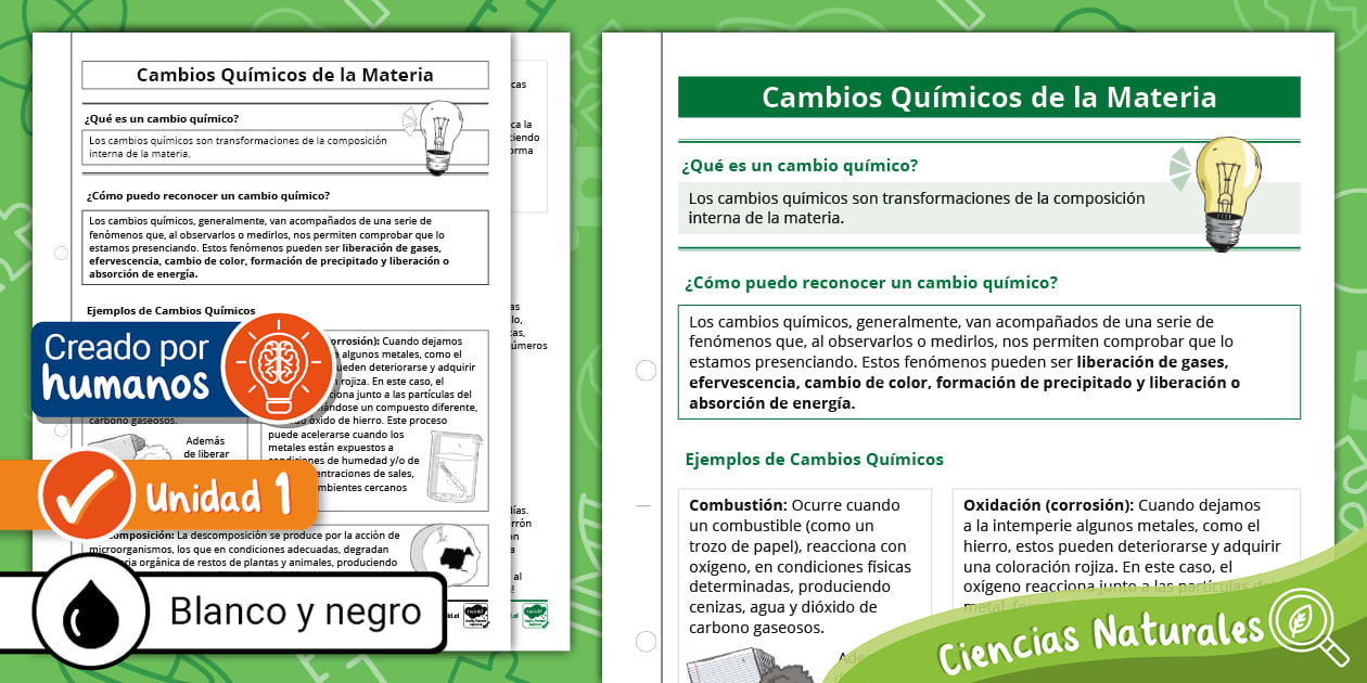 Ficha Informativa | Cambio Químico | Materia | Ciencias | 7º