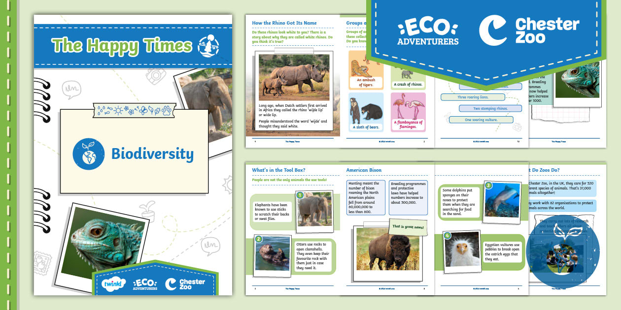 FREE! - Year 3 Biodiversity: The Happy Times (teacher made)