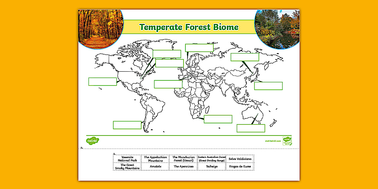 Temperate Forest Biome Map Labeling Worksheet (teacher made)