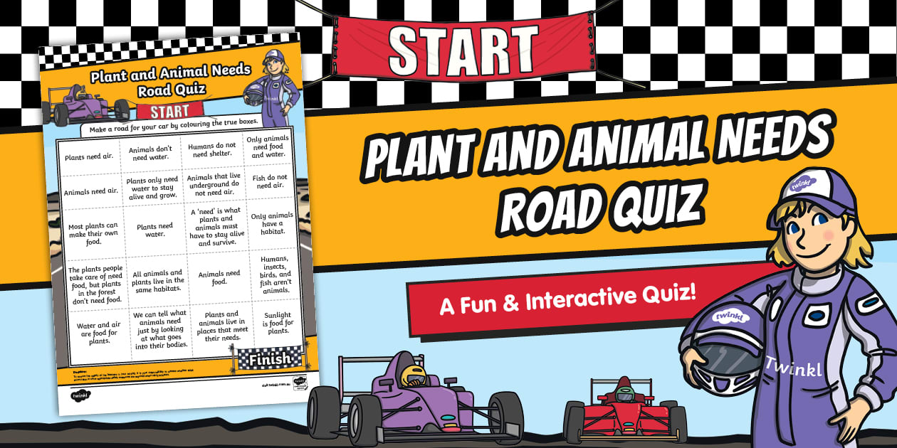 Plant and Animal Needs Quiz Activity