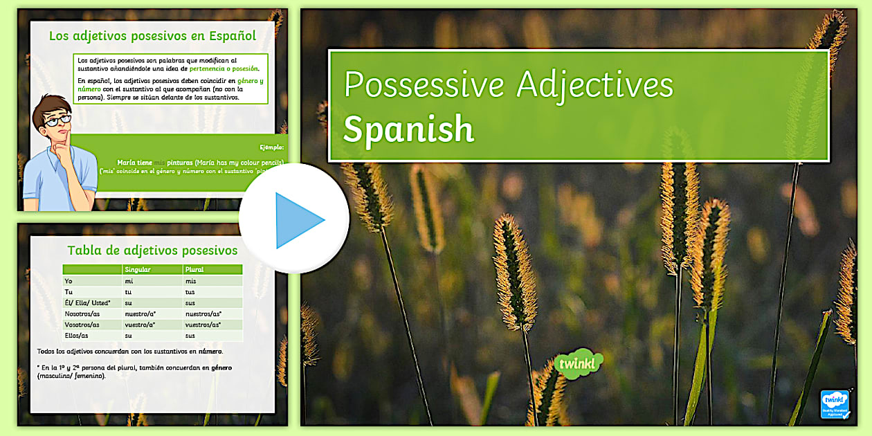 Possessive Adjectives PowerPoint - Spanish - Twinkl