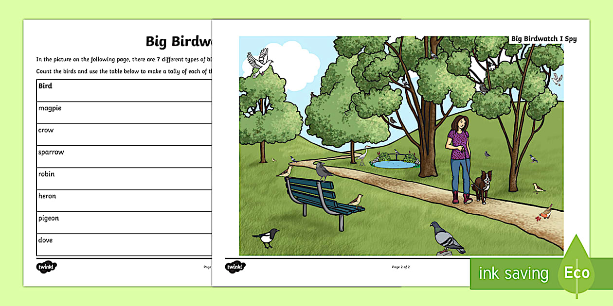 KS1 I Spy Big Birdwatch Activity (teacher made) - Twinkl