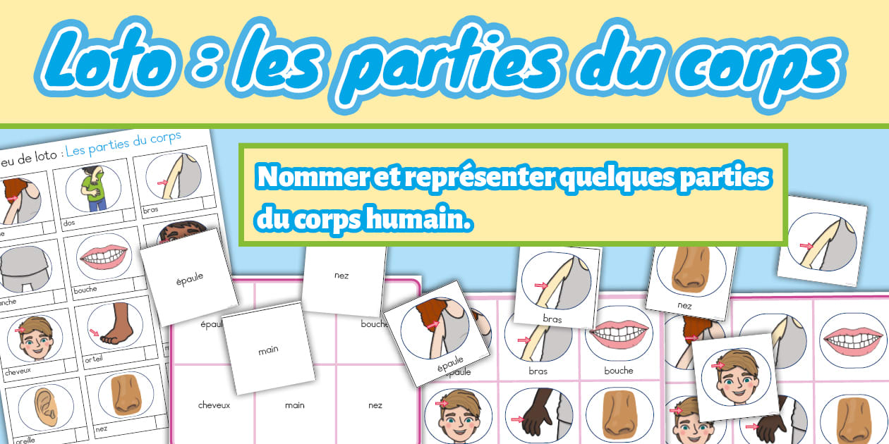 Jeu de loto - les parties du corps humain