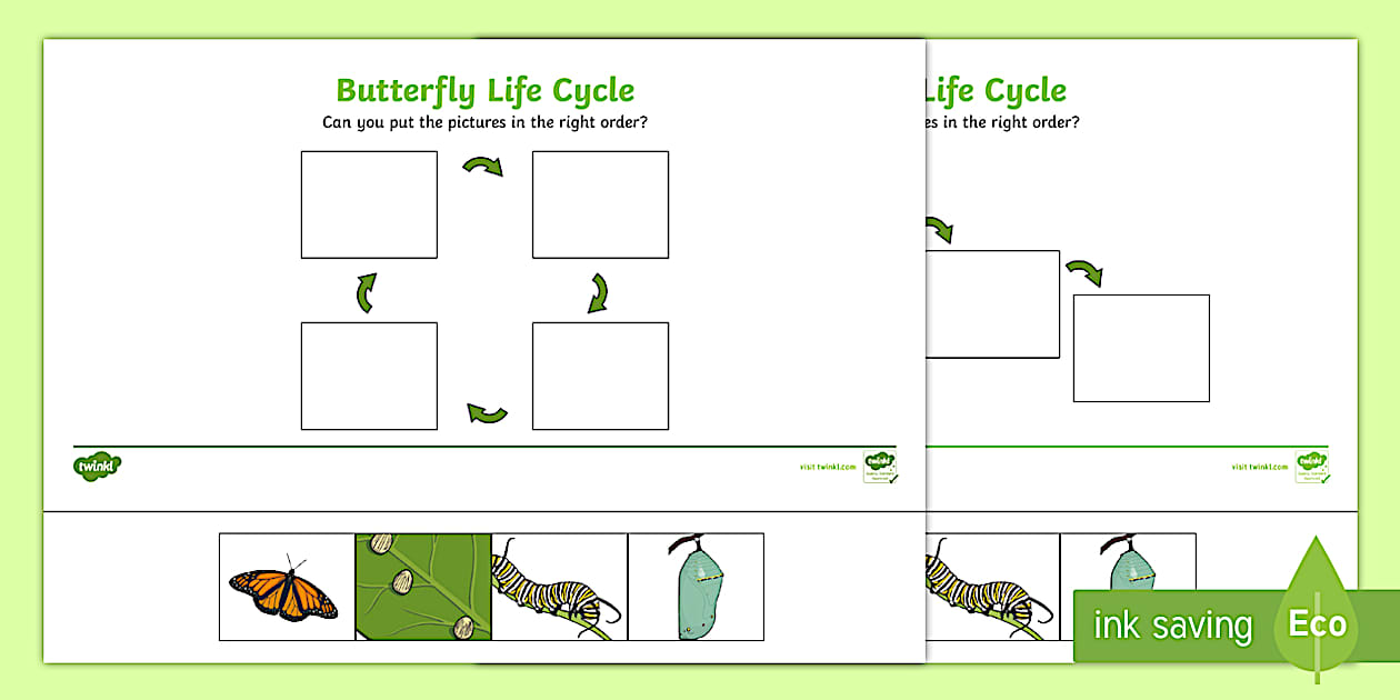 Minibeasts Life Cycle of a Butterfly Worksheets - Twinkl
