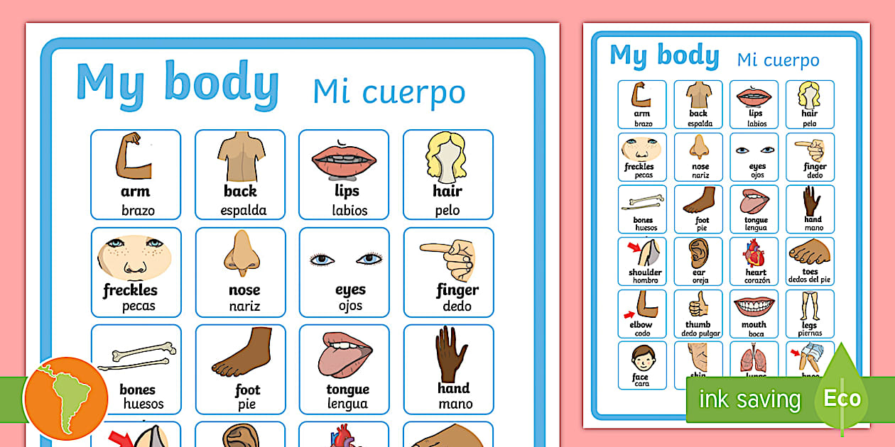 My Body Vocabulary Poster English/Spanish (teacher made)