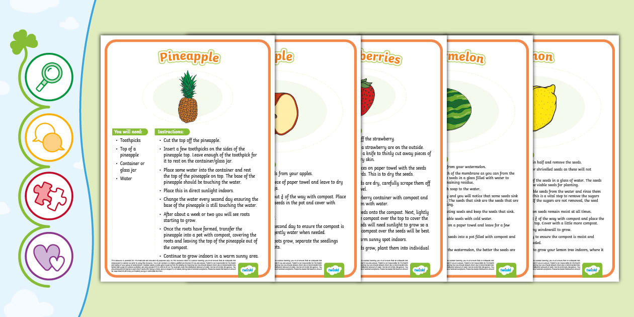 Growing Fruits (teacher made) - Twinkl