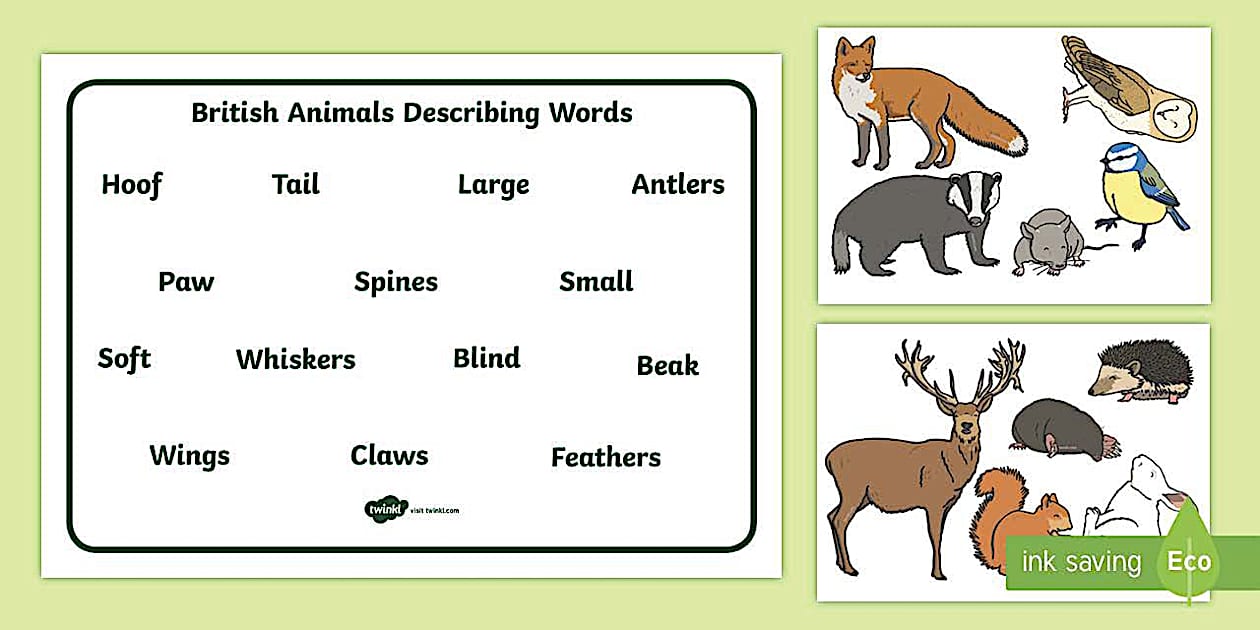 British Animals Word Mat (Hecho por educadores) - Twinkl