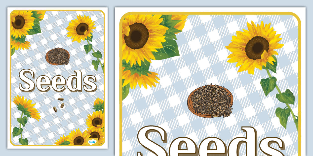 Sunflower-Themed Seeds Display Poster (teacher made)
