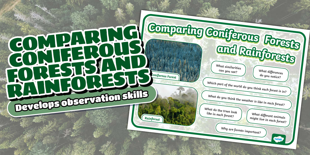 Coniferous Forests and Rainforests Discussion Prompt Poster