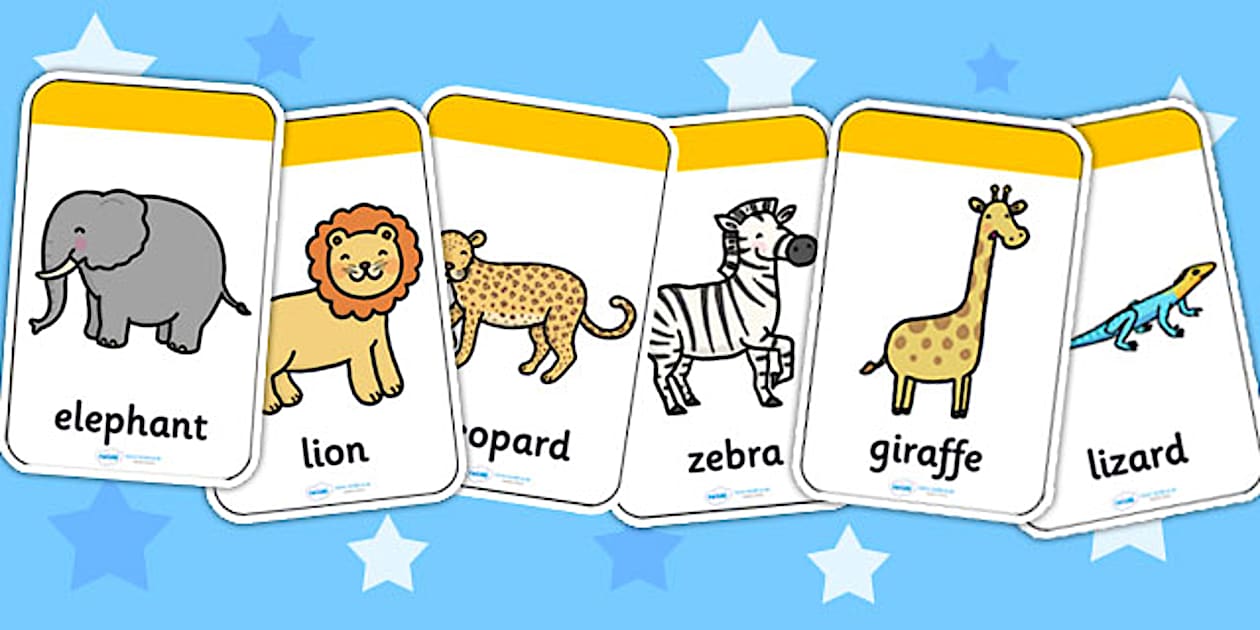 Safari Flashcards (teacher made) - Twinkl