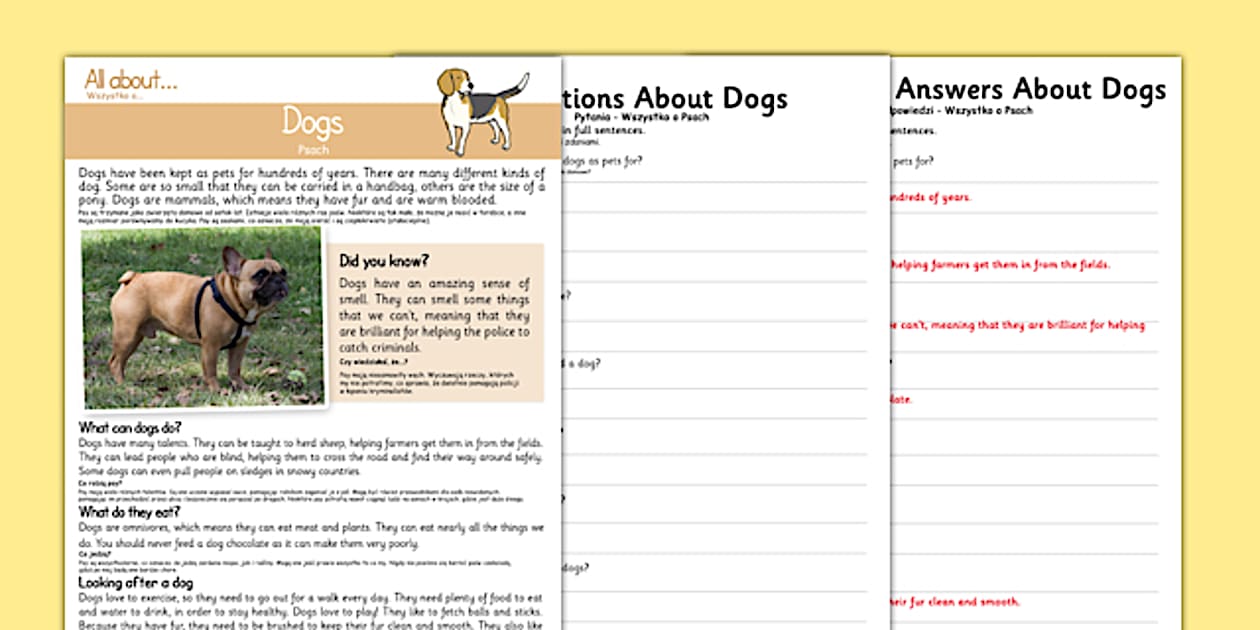 Dogs Reading Comprehension Polish Translation - Twinkl