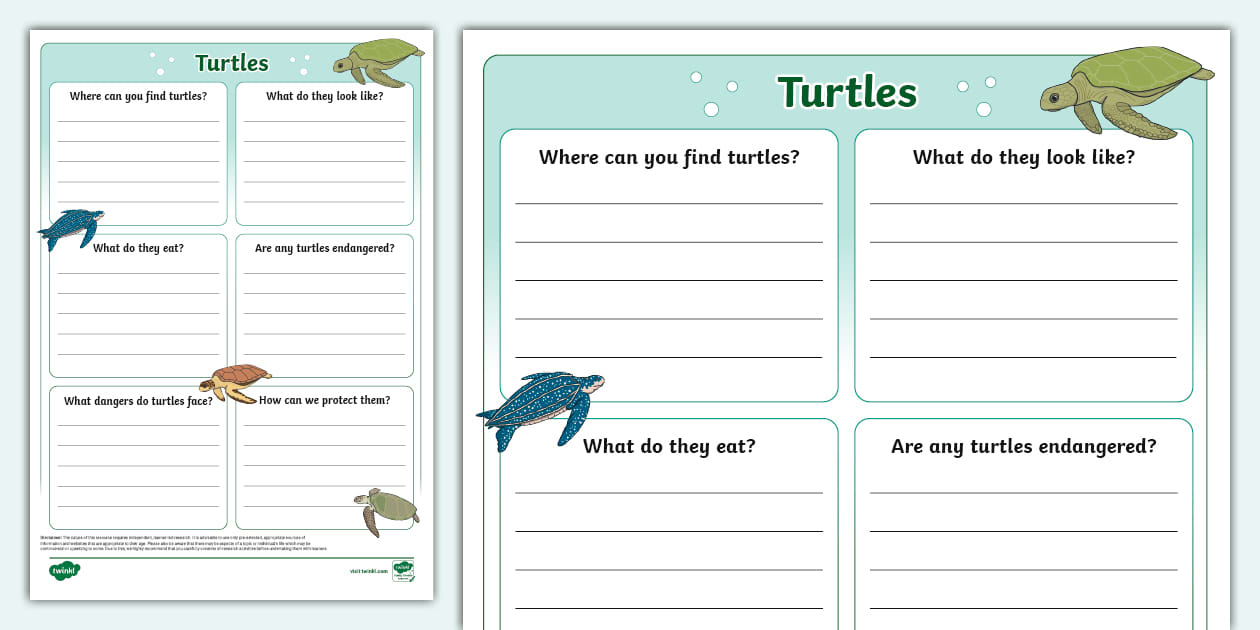 Turtles Fact File Template - Turtles English (teacher made)