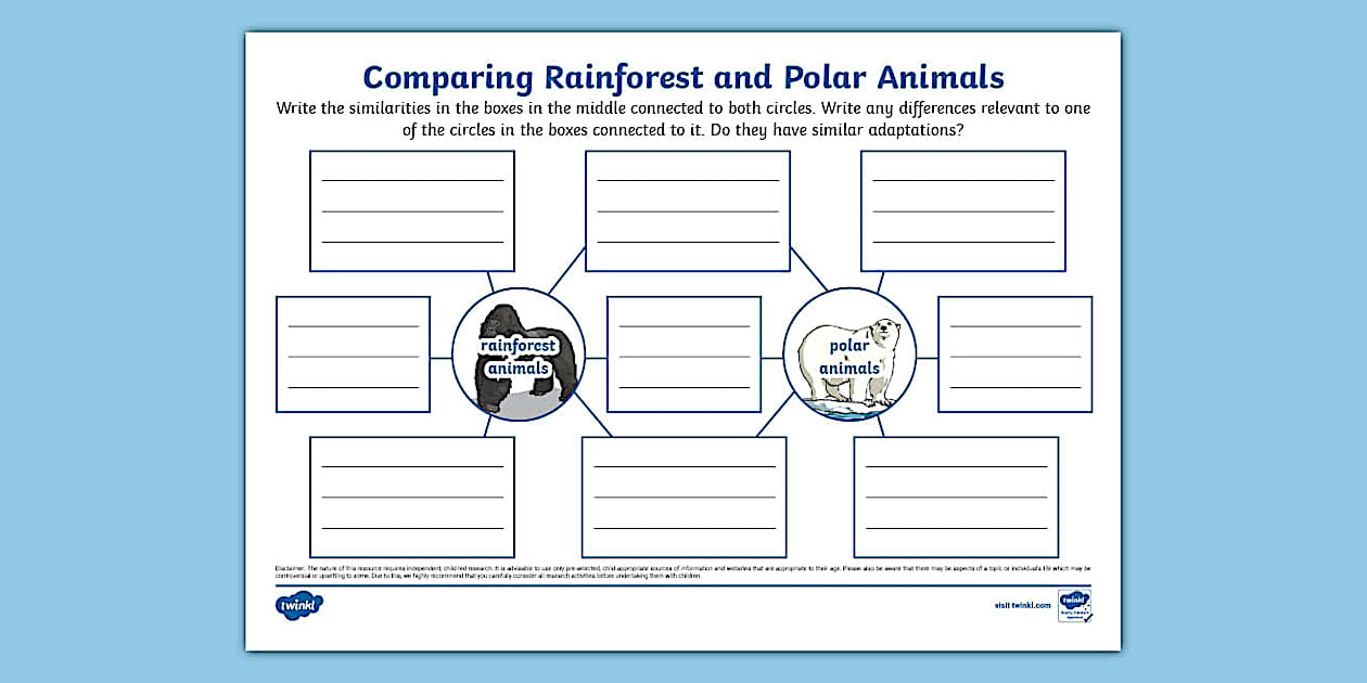 Comparing Rainforest and Polar Animals Mind Map - Twinkl