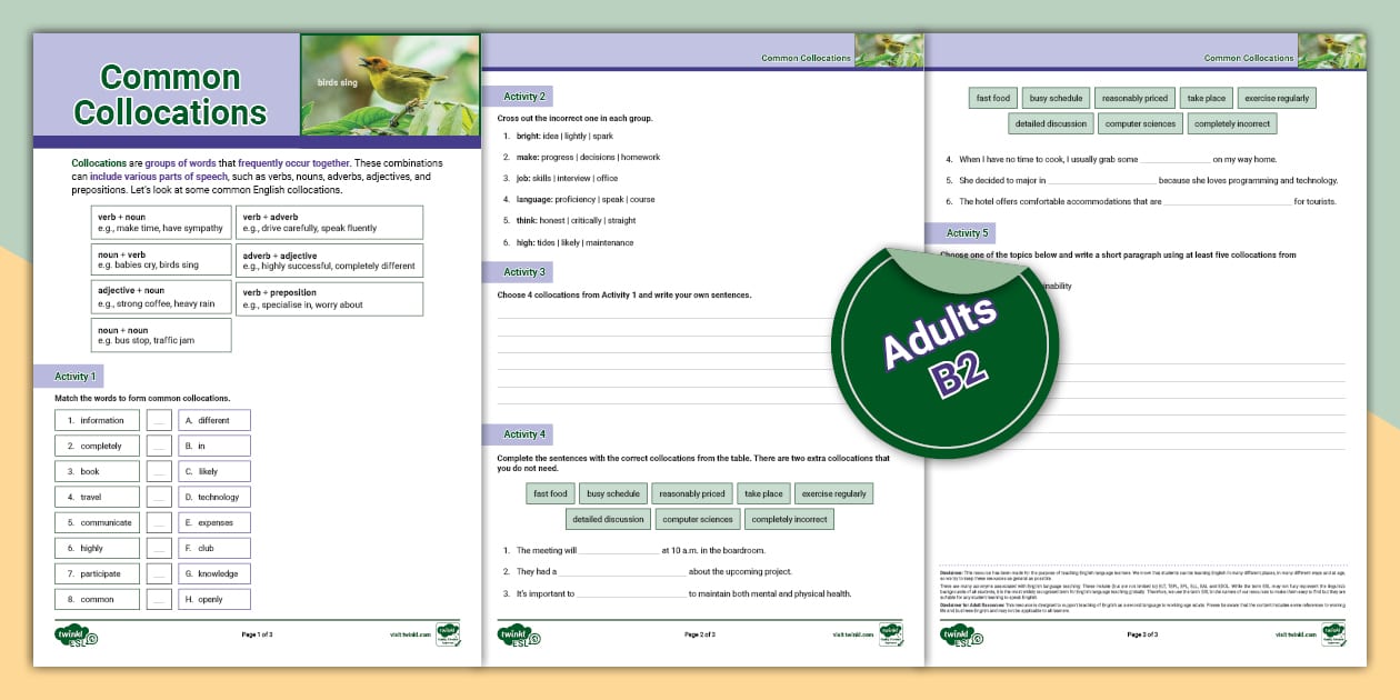 ESL Common Collocations Worksheet [Adults, B2] - Twinkl