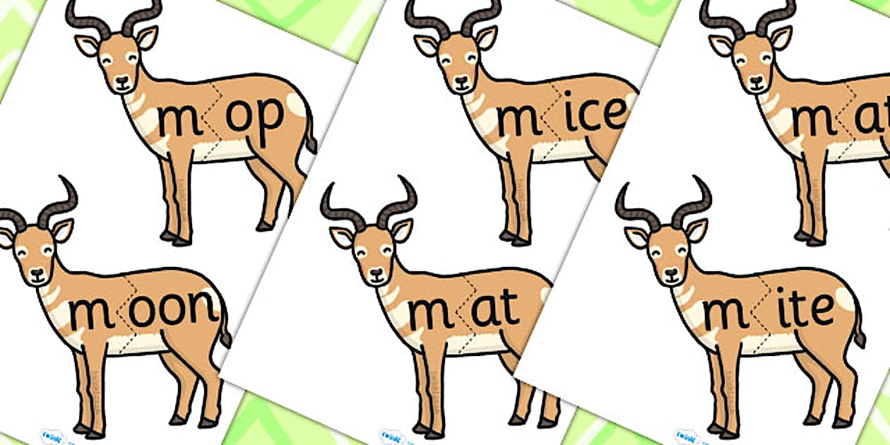 m Sound And Vowel Animal Jigsaw