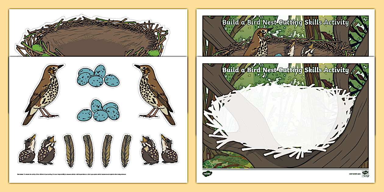 Build a Bird Nest Activity | The Big Garden Bird Watch