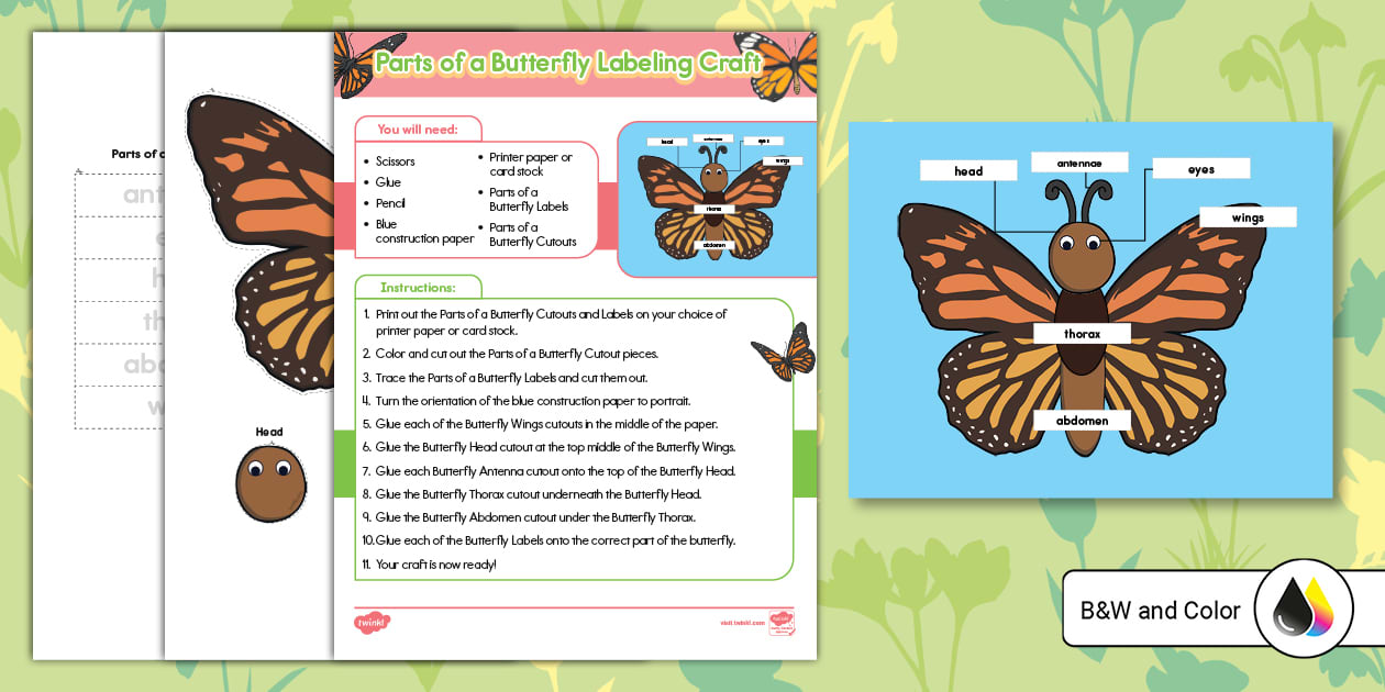 Parts of a Butterfly Labeling Craft for PK-K - Twinkl