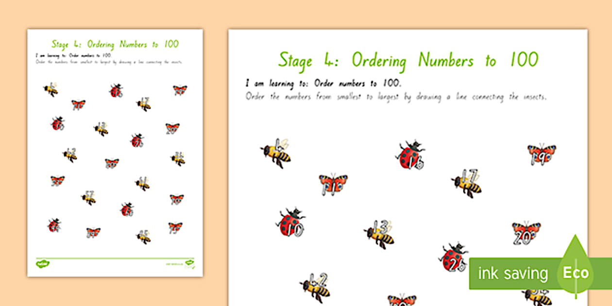 Editable New Zealand Maths Stage 4 Ordering Numbers to 100 Insects ...