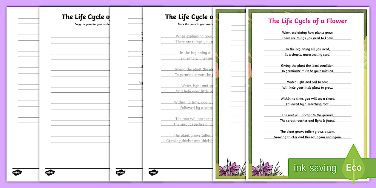 Cursive Life Cycle of a Plant Handwriting Poem Worksheets