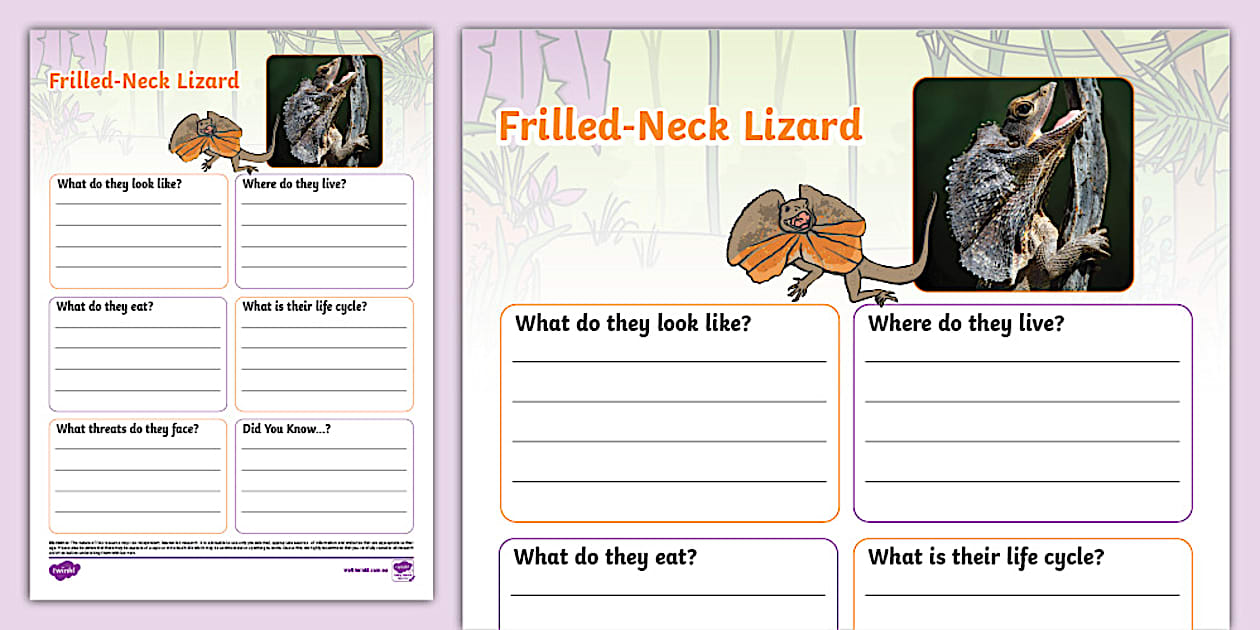 Frilled-Neck Lizard Fact File Template (teacher made)