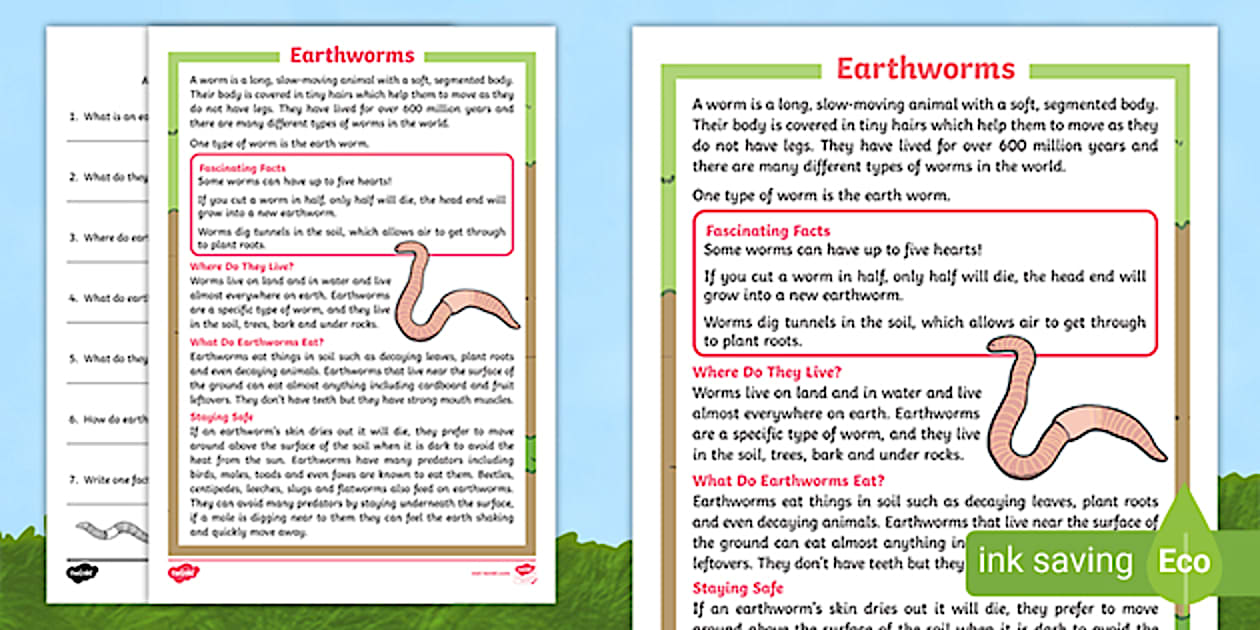 Earthworm Reading Comprehension - Twinkl