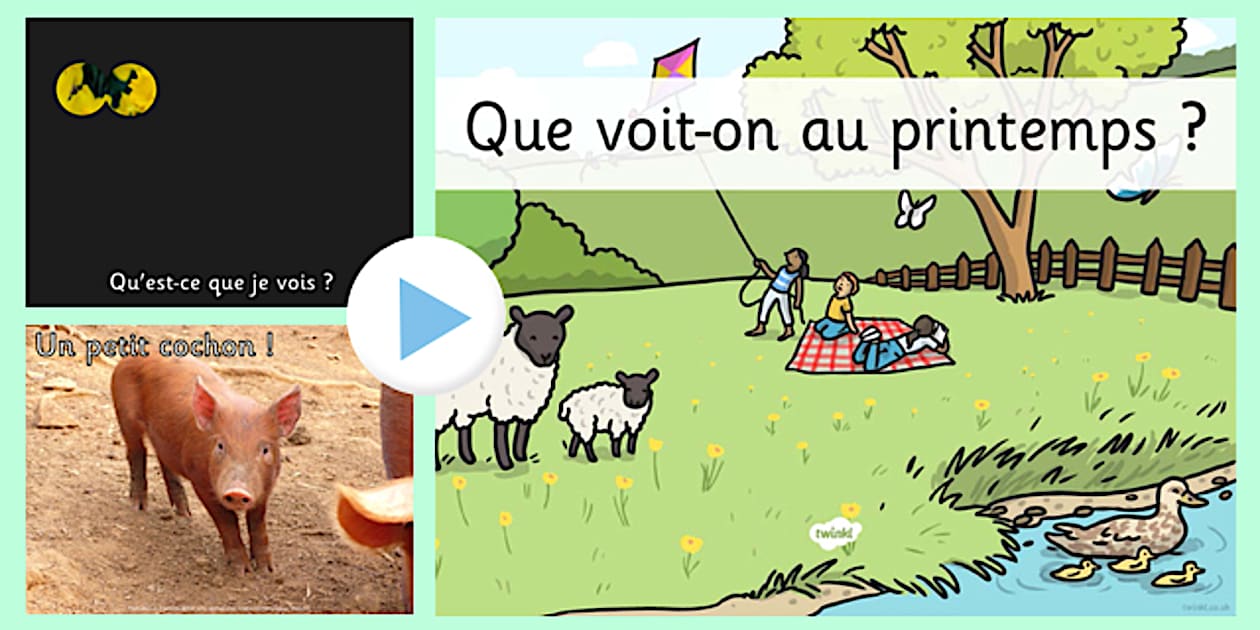 Spring What Can You See PowerPoint French - Twinkl